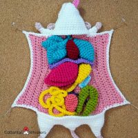 Cool Amigurumi Crochet Rat Dissection Pattern | Cottontail & Whiskers