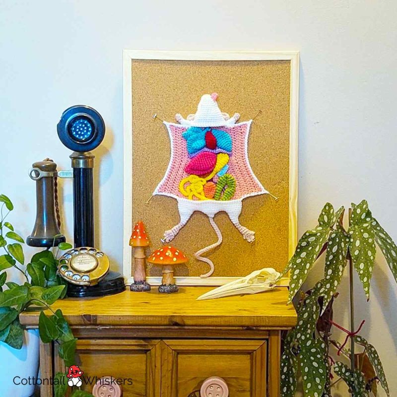 Cool Amigurumi Crochet Rat Dissection Pattern Crafty Anatomy