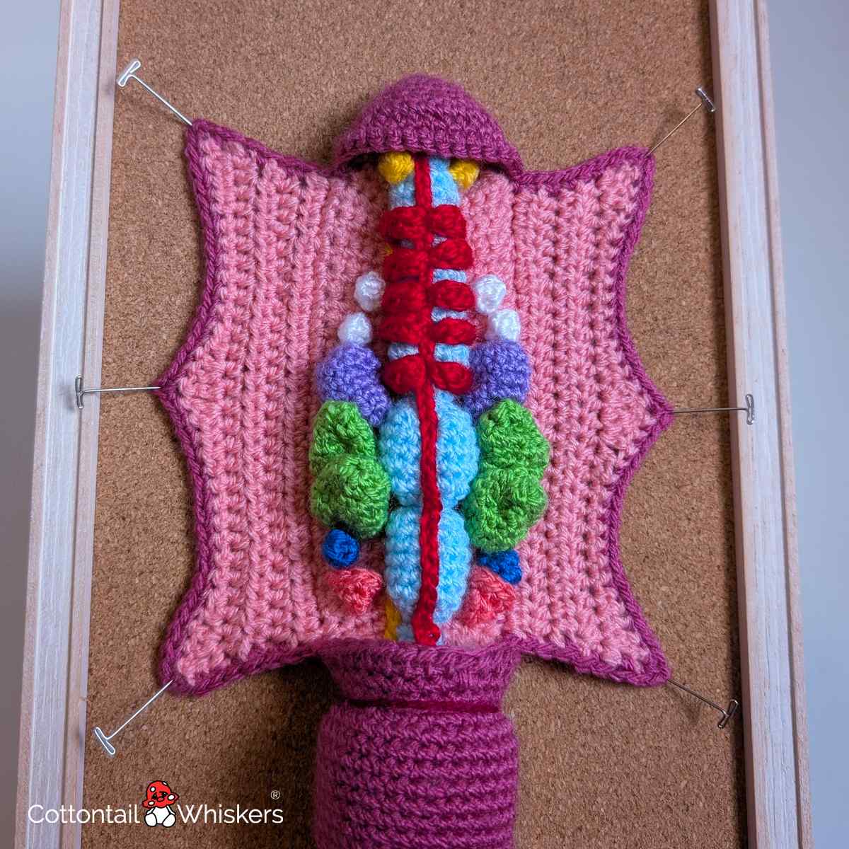 Terrific Dissection Crochet Worm Pattern Amigurumi Anatomy