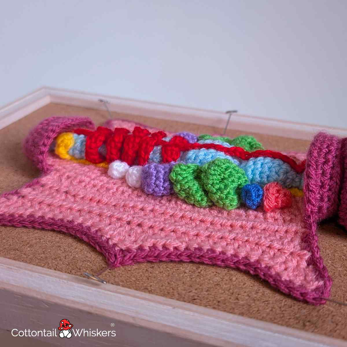 Terrific Dissection Crochet Worm Pattern Amigurumi Anatomy