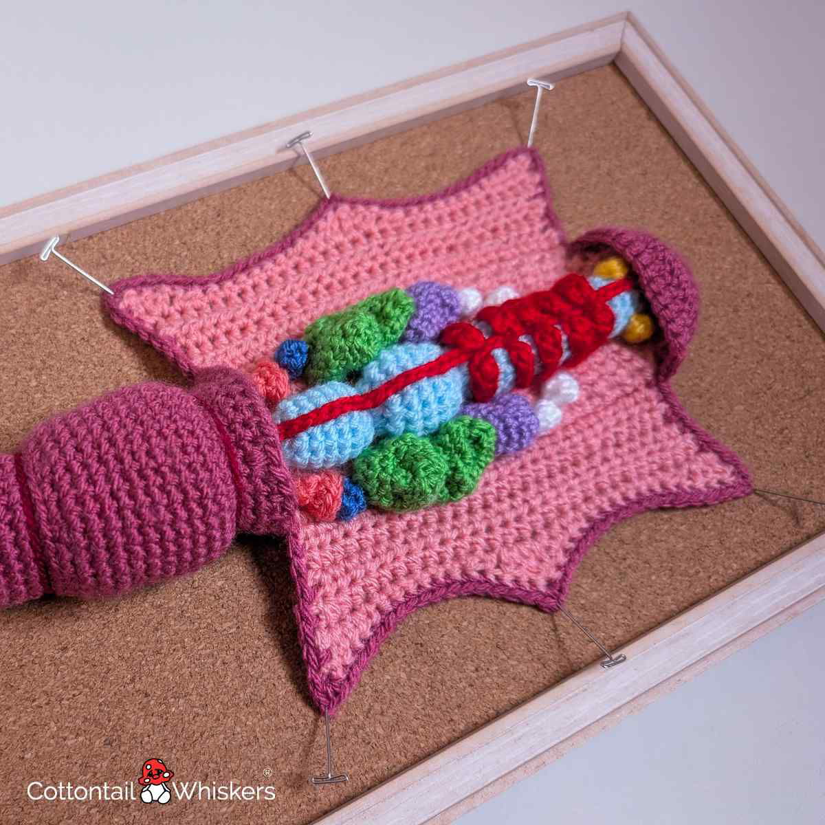 Terrific Dissection Crochet Worm Pattern Amigurumi Anatomy