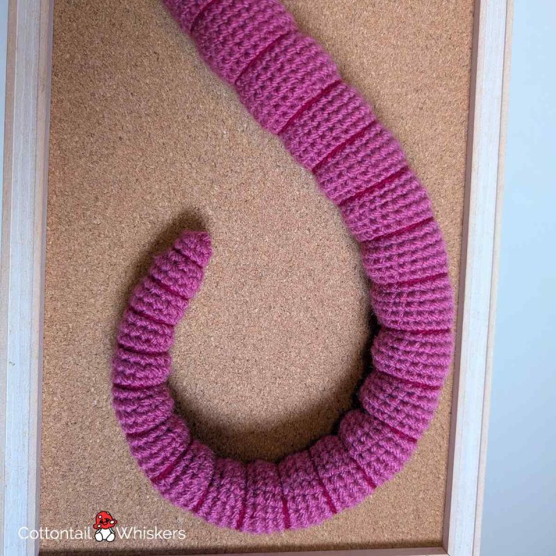 Terrific Dissection Crochet Worm Pattern Amigurumi Anatomy