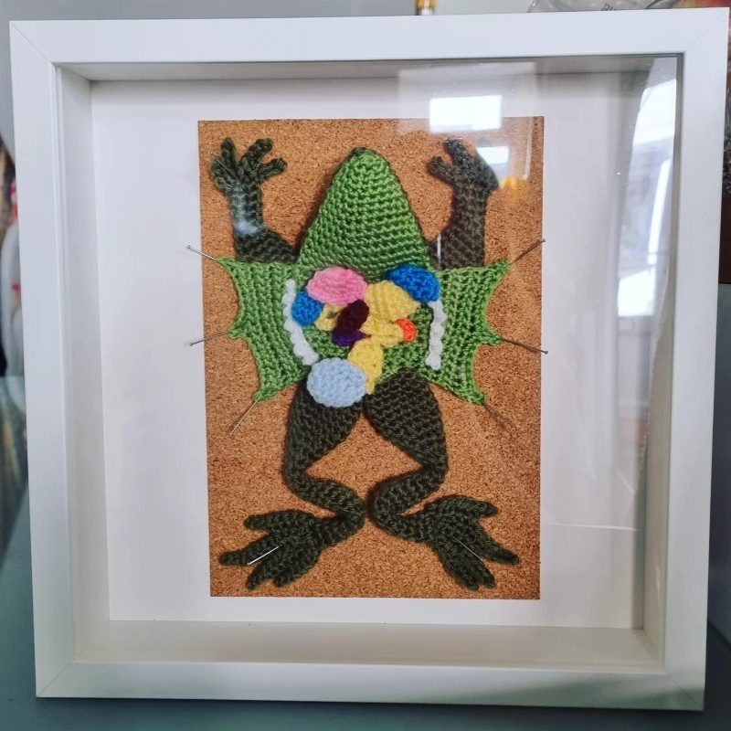 Top Down Amigurumi Crochet Frog Dissection Pattern | Cottontail & Whiskers