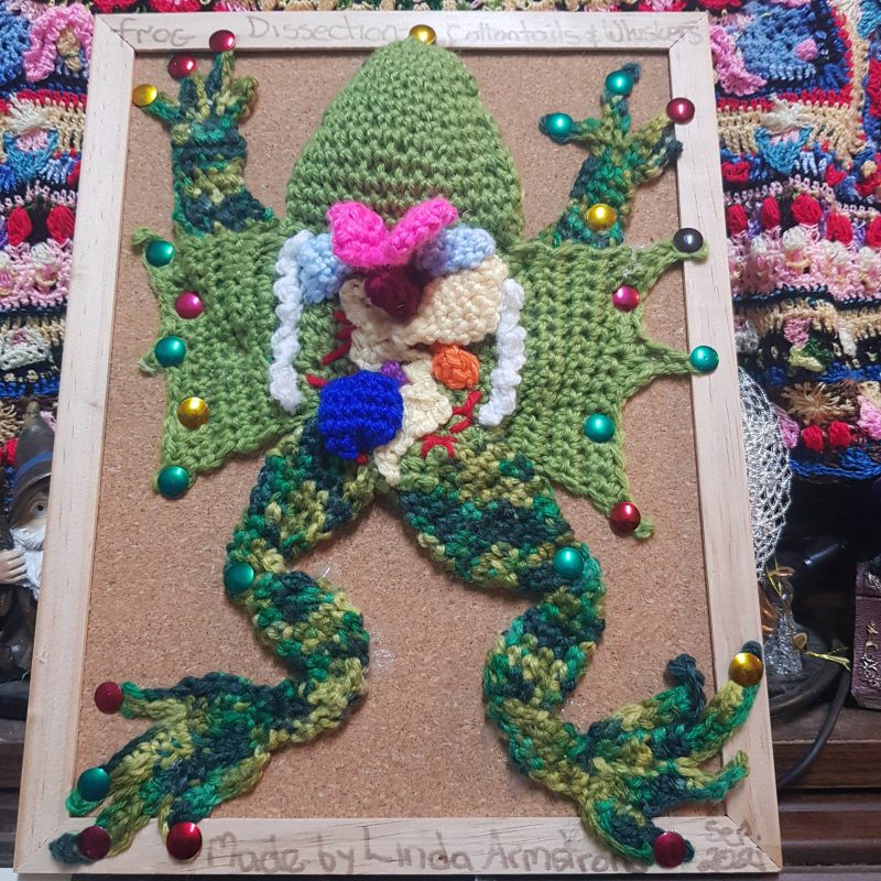 Top Down Amigurumi Crochet Frog Dissection Pattern | Cottontail & Whiskers