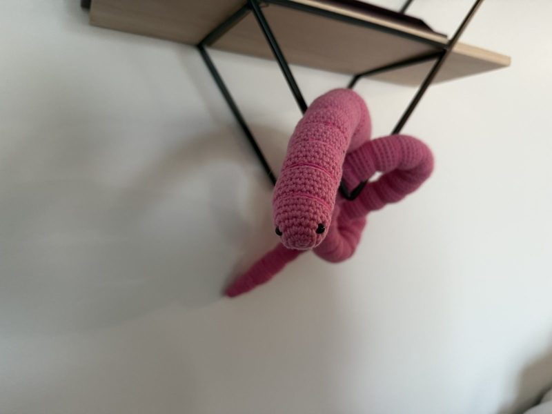 Giant Amigurumi Earth Worm Crochet Pattern Toy Craft Project