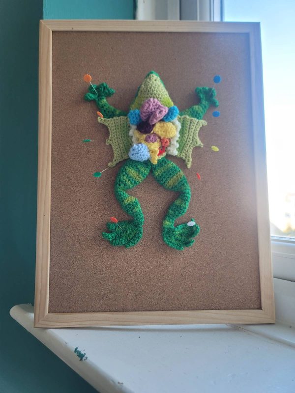 Top Down Amigurumi Crochet Frog Dissection Pattern