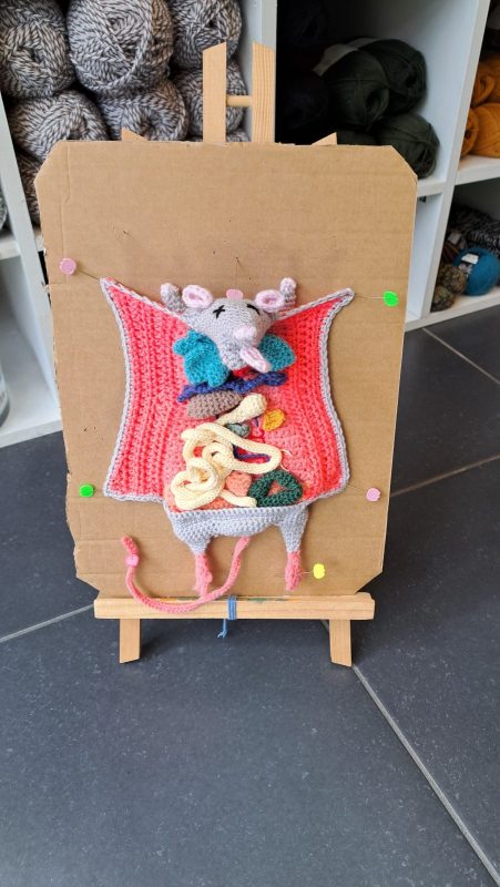 Cool Amigurumi Crochet Rat Dissection Pattern | Cottontail & Whiskers