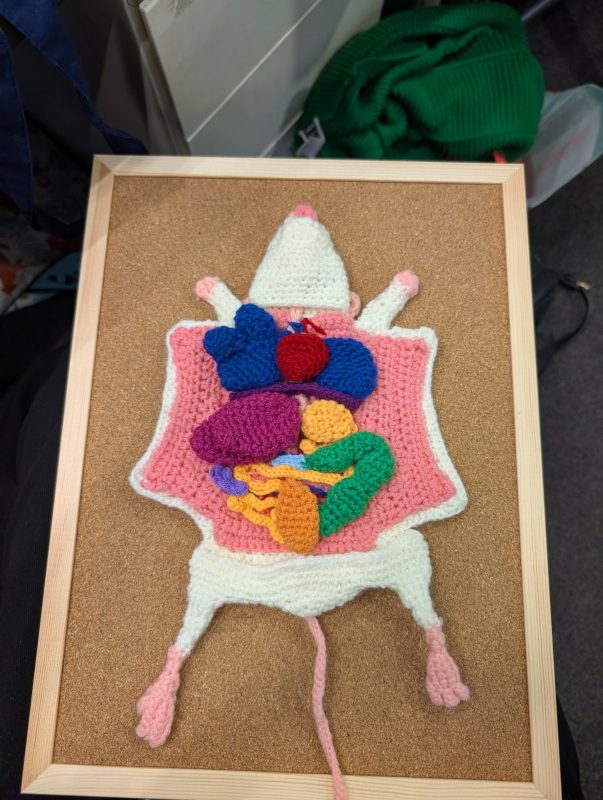 Cool Amigurumi Crochet Rat Dissection Pattern | Cottontail & Whiskers
