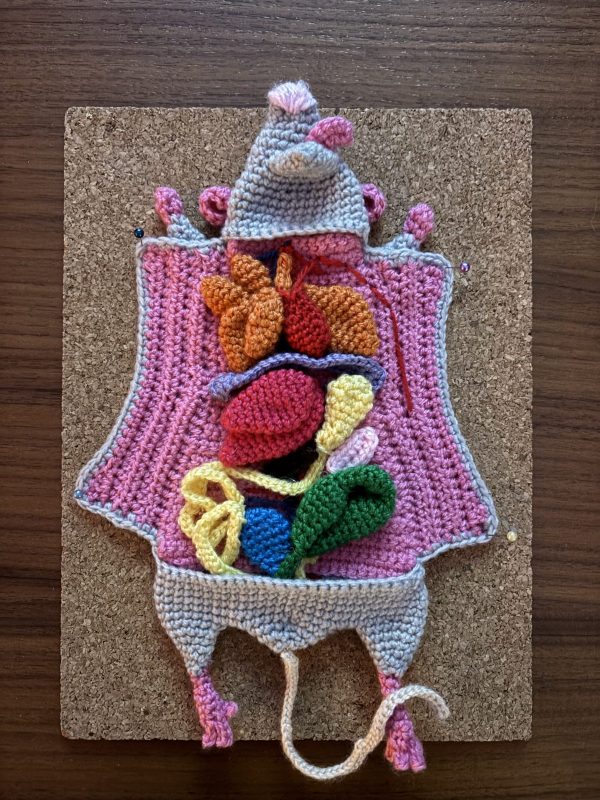Cool Amigurumi Crochet Rat Dissection Pattern | Cottontail & Whiskers