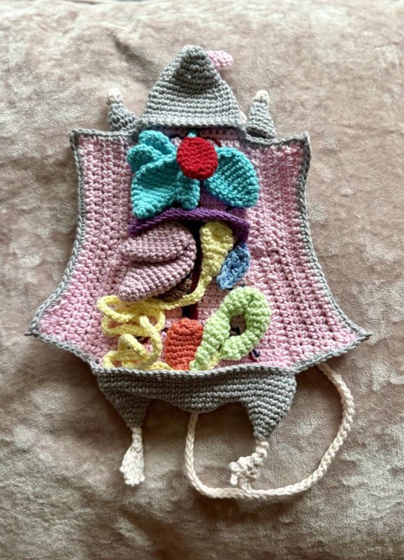 Cool Amigurumi Crochet Rat Dissection Pattern | Cottontail & Whiskers