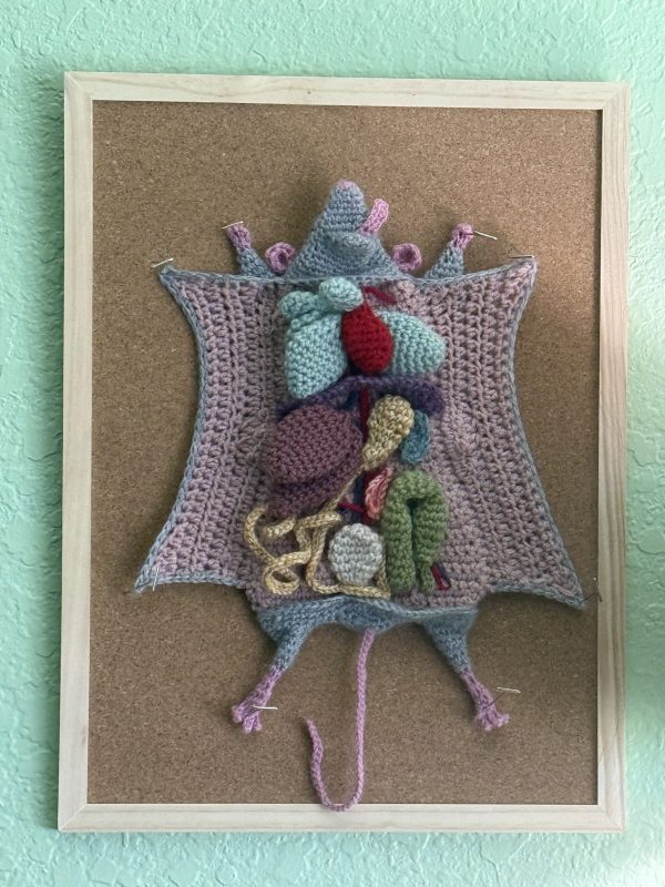 Cool Amigurumi Crochet Rat Dissection Pattern | Cottontail & Whiskers