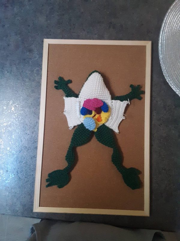 Top Down Amigurumi Crochet Frog Dissection Pattern | Cottontail & Whiskers