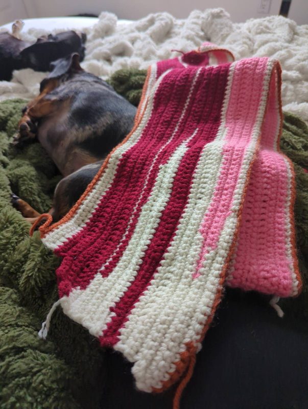 Sizzling Pork Belly Streaky Bacon Scarf Crochet Pattern | Cottontail ...