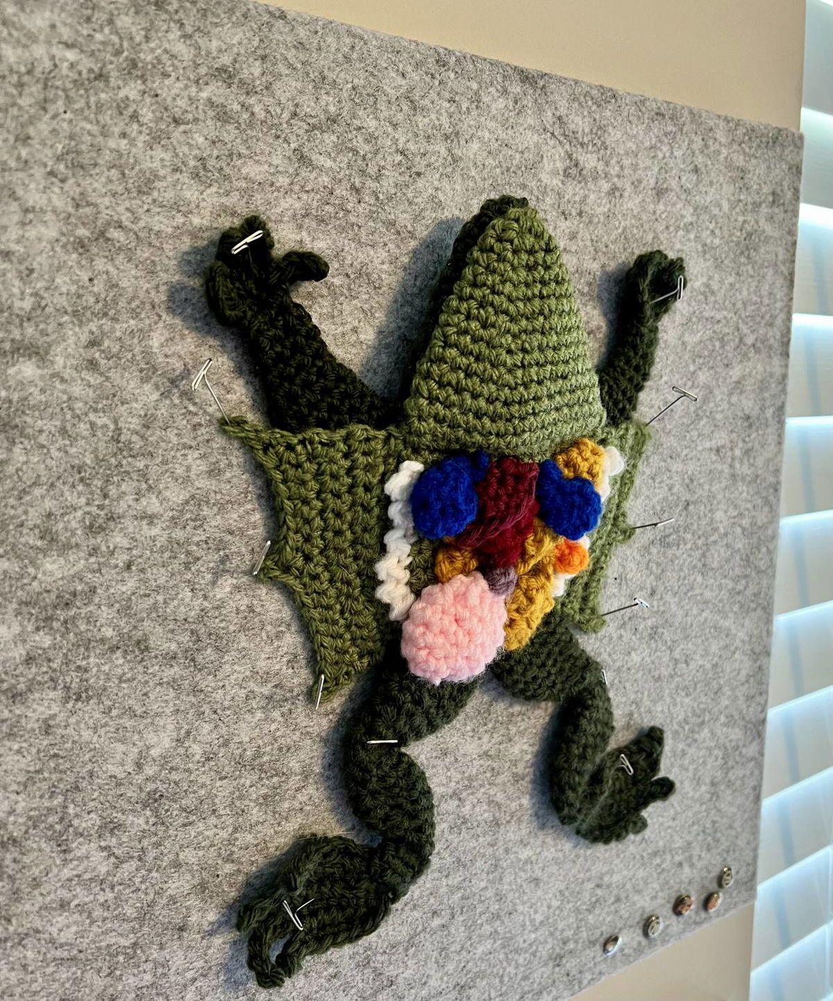 Top Down Amigurumi Crochet Frog Dissection Pattern | Cottontail & Whiskers
