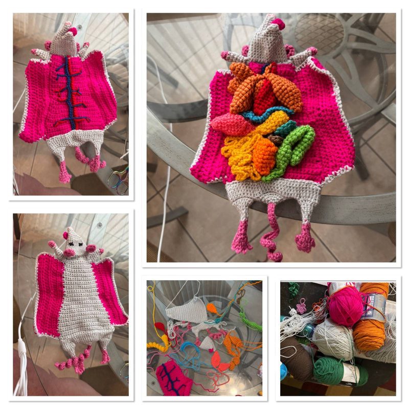 Cool Amigurumi Crochet Rat Dissection Pattern | Cottontail & Whiskers