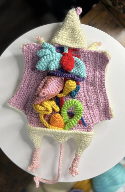 Cool Amigurumi Crochet Rat Dissection Pattern | Cottontail & Whiskers