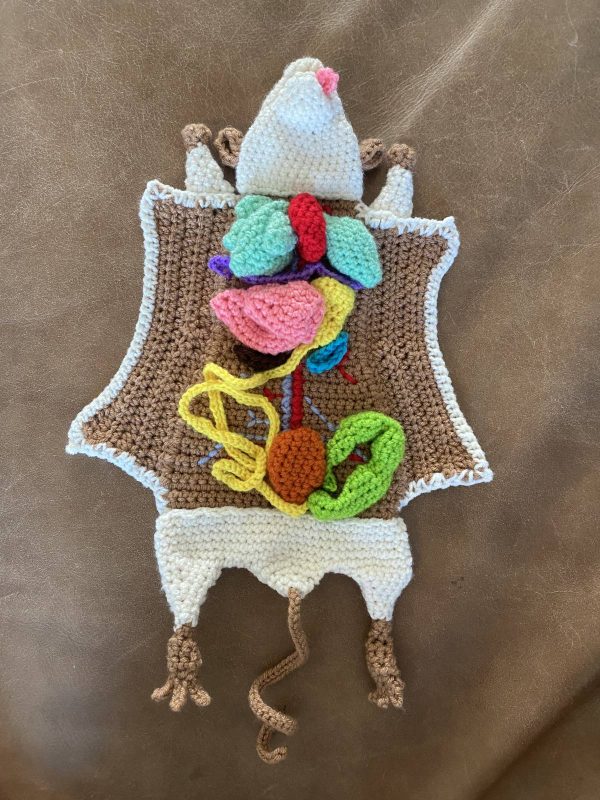 Cool Amigurumi Crochet Rat Dissection Pattern | Cottontail & Whiskers