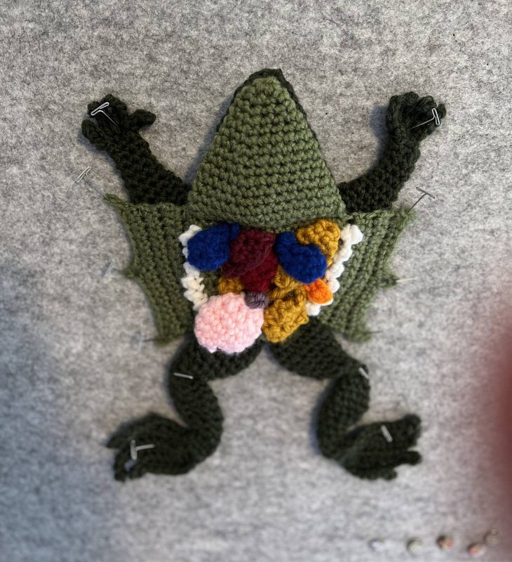 Top Down Amigurumi Crochet Frog Dissection Pattern | Cottontail & Whiskers