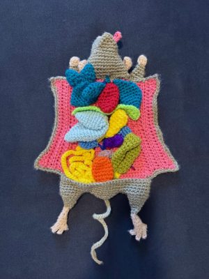 Cool Amigurumi Crochet Rat Dissection Pattern | Cottontail & Whiskers