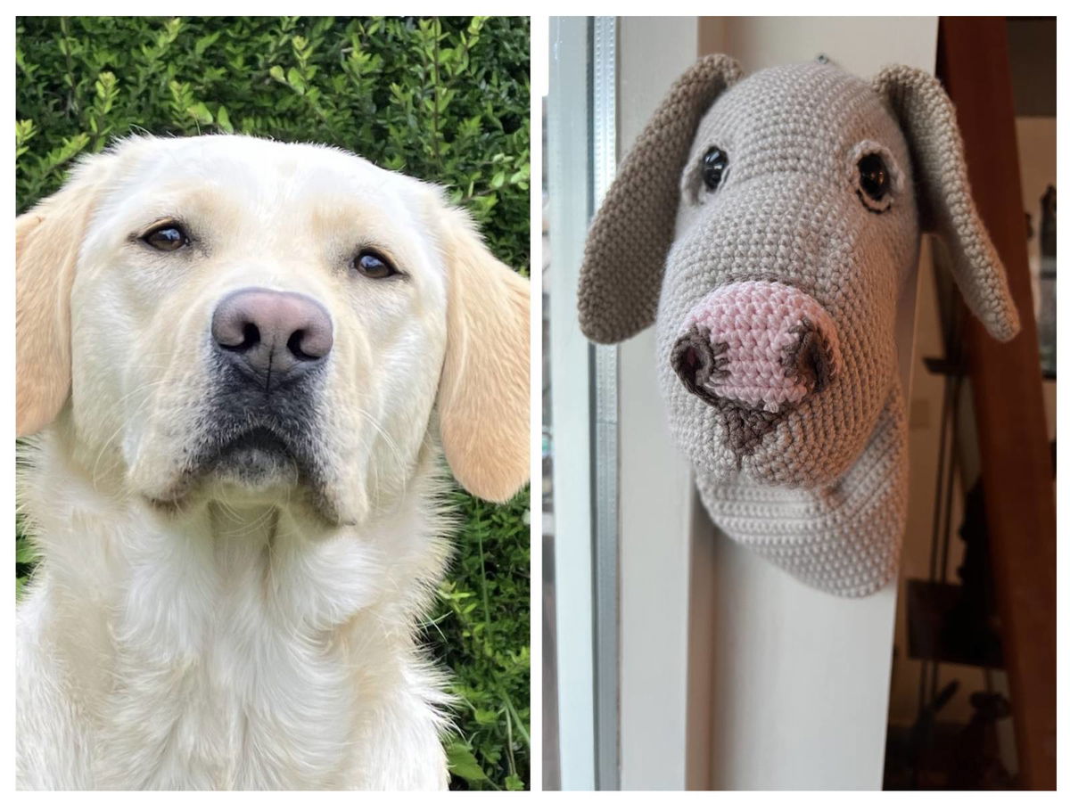 Faithful Step-by-Step Labrador Crochet Dog Head Pattern | Cottontail ...