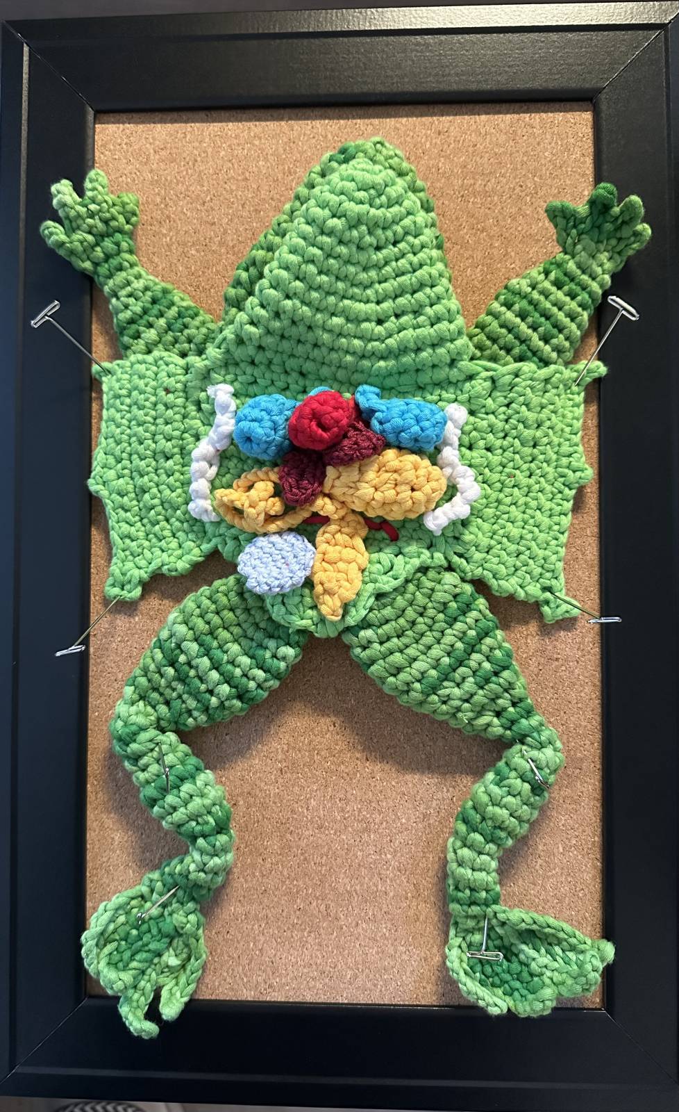 Top Down Amigurumi Crochet Frog Dissection Pattern | Cottontail & Whiskers